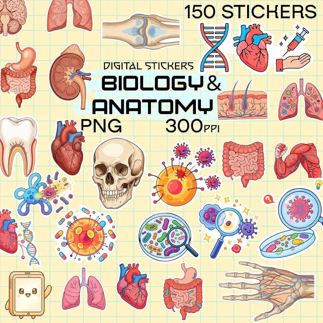 150 Biology Anatomy Stickers | Medical Clipart PNG (digital Download ...