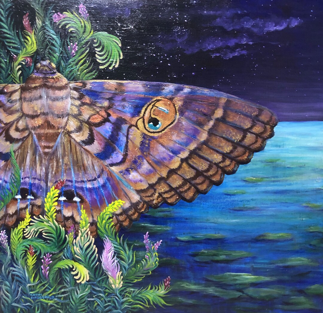 Granny’s Cloak Moth Chases Dusk - Etsy