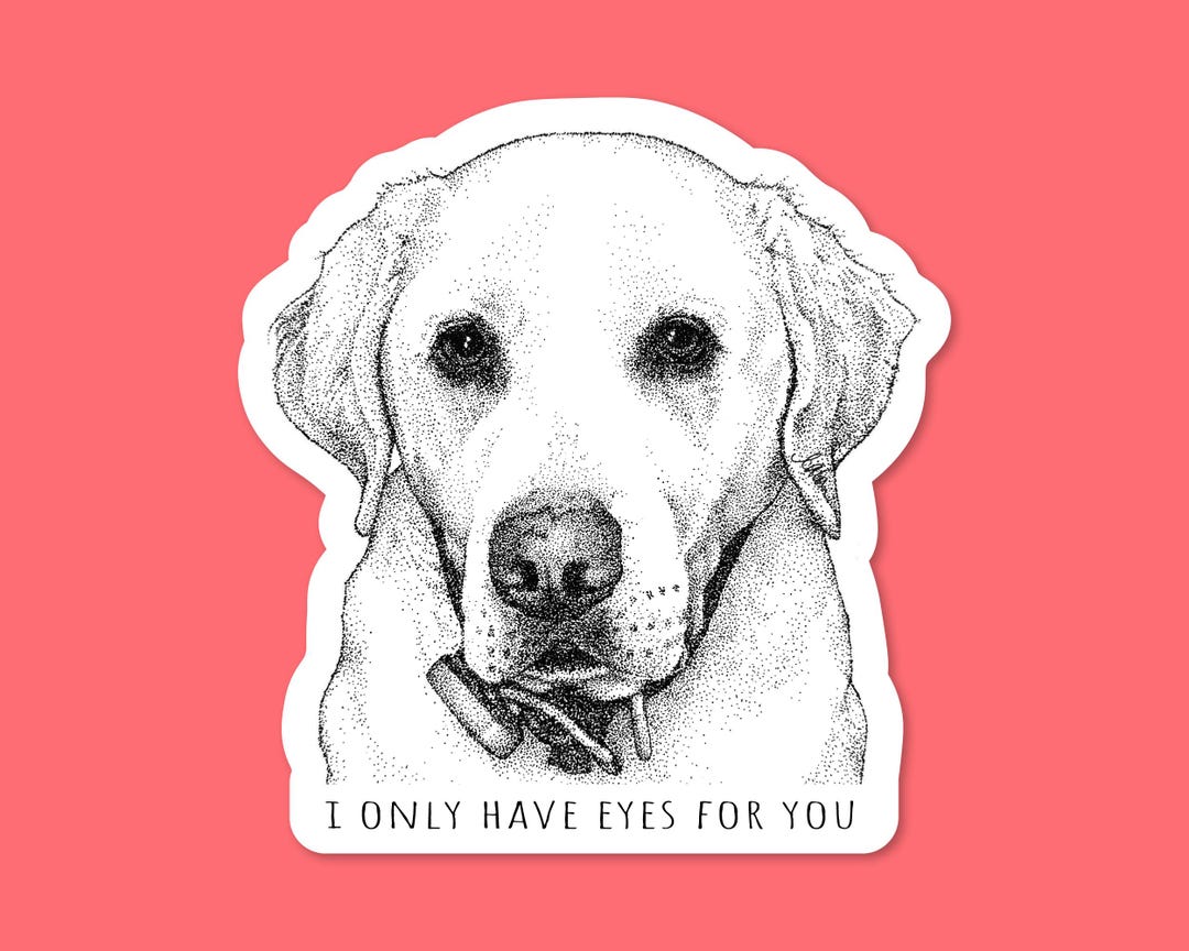 EYES FOR YOU Funny Yellow Lab Waterproof Vinyl Sticker, Original Dog ...
