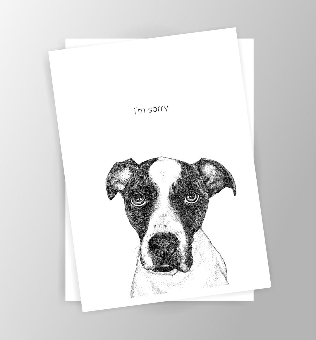 I'M SORRY Dog Apology, Sympathy Card, Original Dog Illustration - Etsy