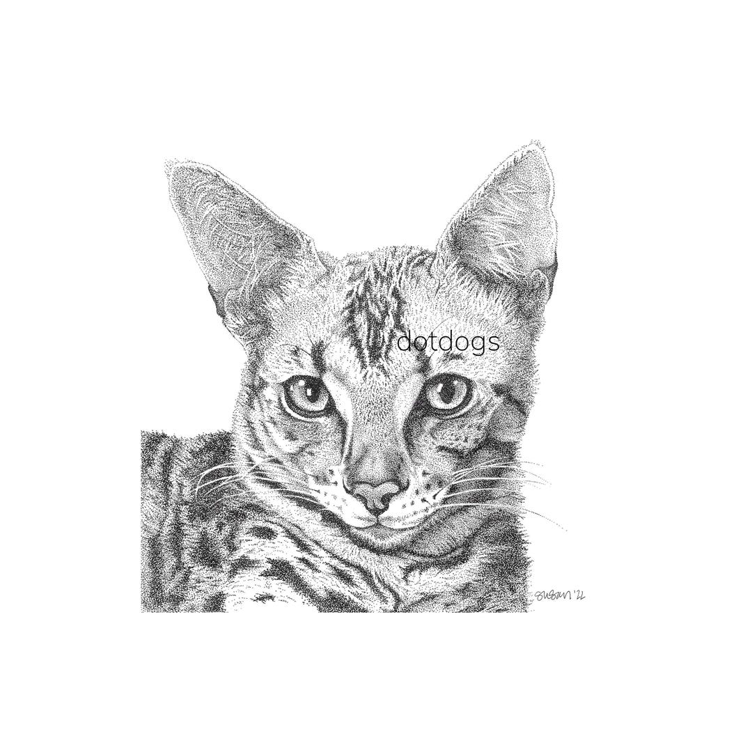 SAVANNAH CAT Pointillism Portrait Art Print of Original Pen and Ink ...