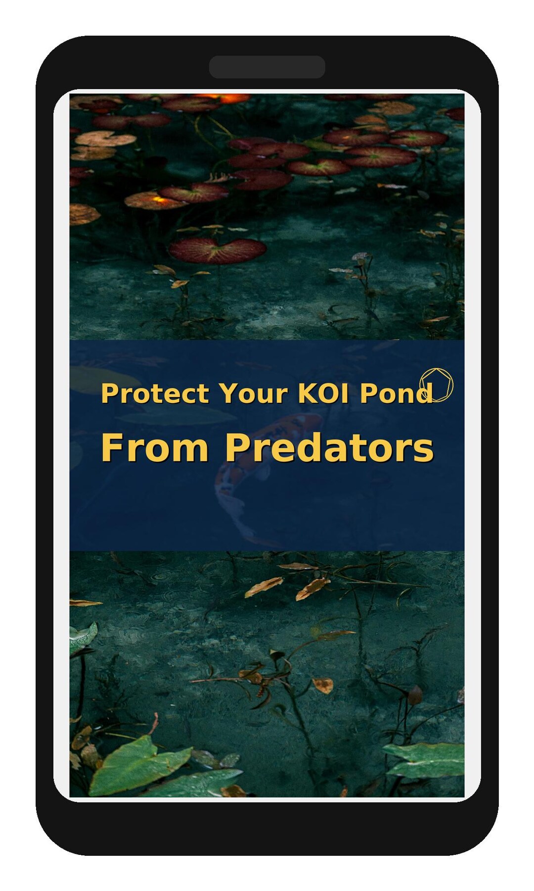 Protect Your Koi Pond From Predators - Etsy
