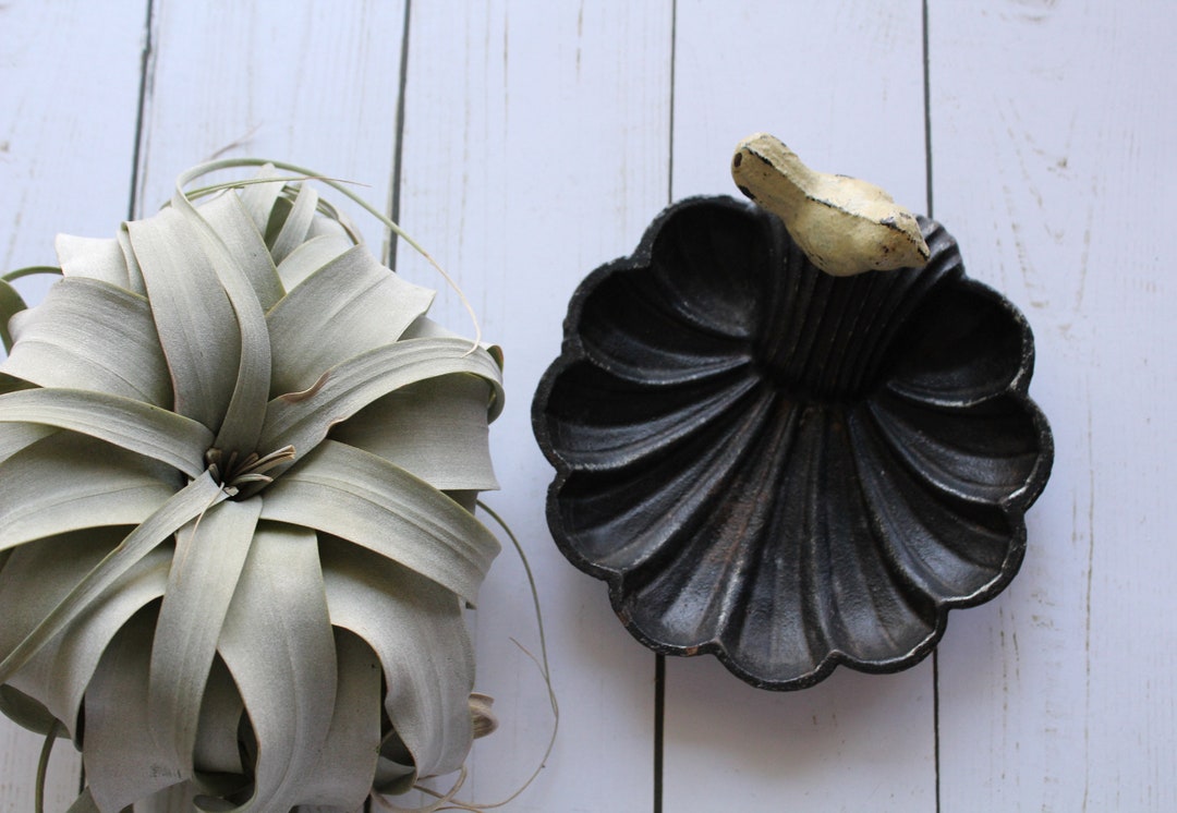 Vintage Cast Iron Seashell Shaped Dish With White Bird 1970s - Etsy
