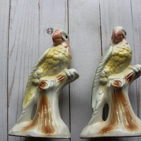 Ceramic Parakeets - Etsy