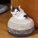 PDF Kitty Pod Knit Pattern - Etsy