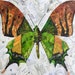 Green Butterfly Collage - Etsy