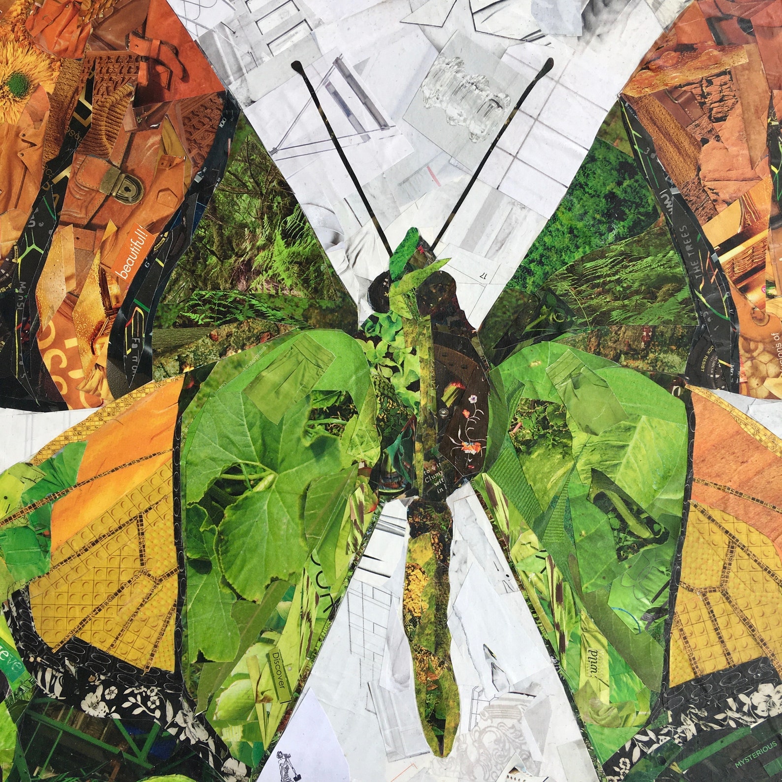 Green Butterfly Collage - Etsy