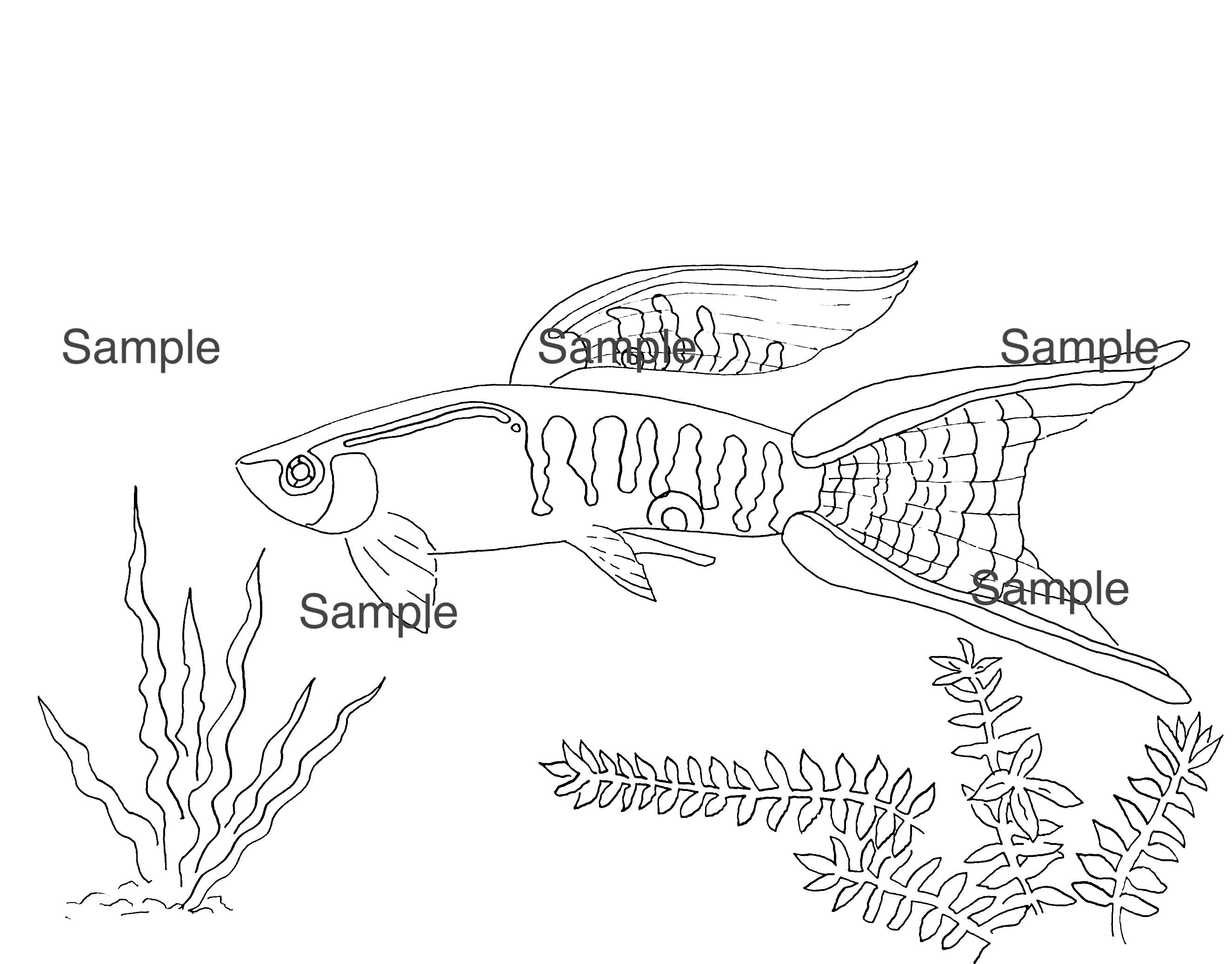 Guppy Fish Coloring Page