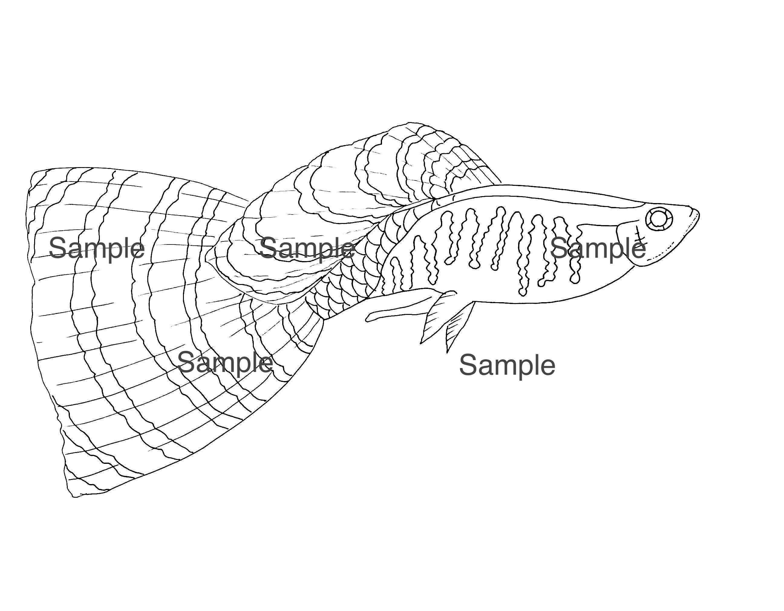 Hand Drawn Guppy Coloring Page - 7 - Etsy