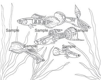 Guppy Coloring Page