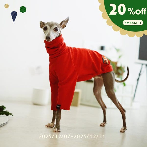 Whippet Gift - 60+ Gift Ideas for 2025