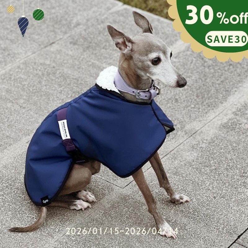 Warm Clothes for Whippet - Etsy