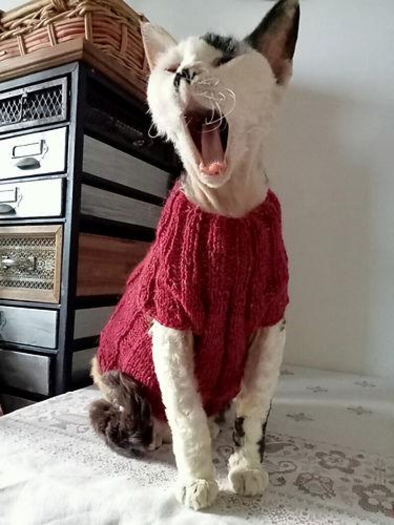 Knitted Cat Sweater Pattern PDF | Easy Knit Pet Jumper | Warm Winter ...