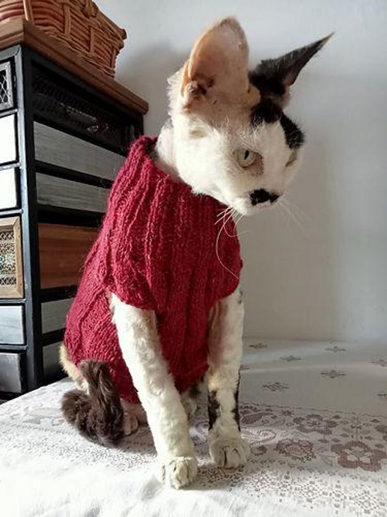Knitted Cat Sweater Pattern PDF | Easy Knit Pet Jumper | Warm Winter ...