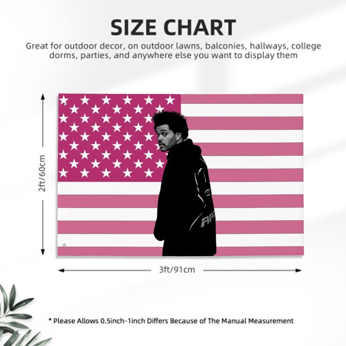 The Weeknd Pink American Flag Poster | R&B Singer Wall Art | After ...