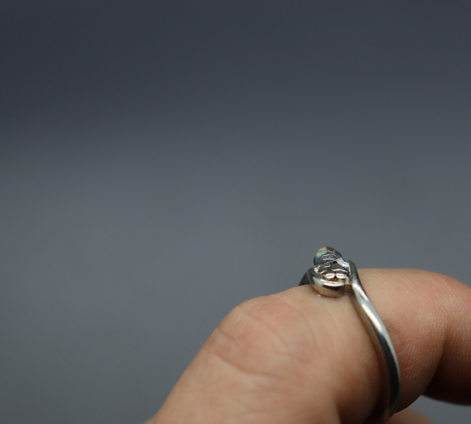 Paw Cremation Ashes Pet Memorial Jewelry Cremation Ring - Etsy