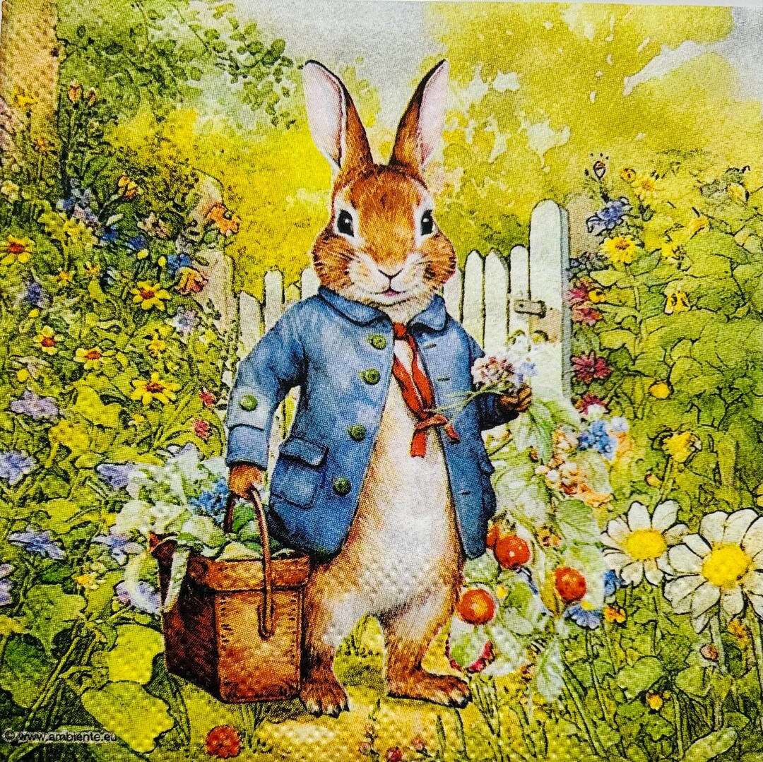 Decoupage Napkin - Peter Cottontail- Cocktail Size - Etsy