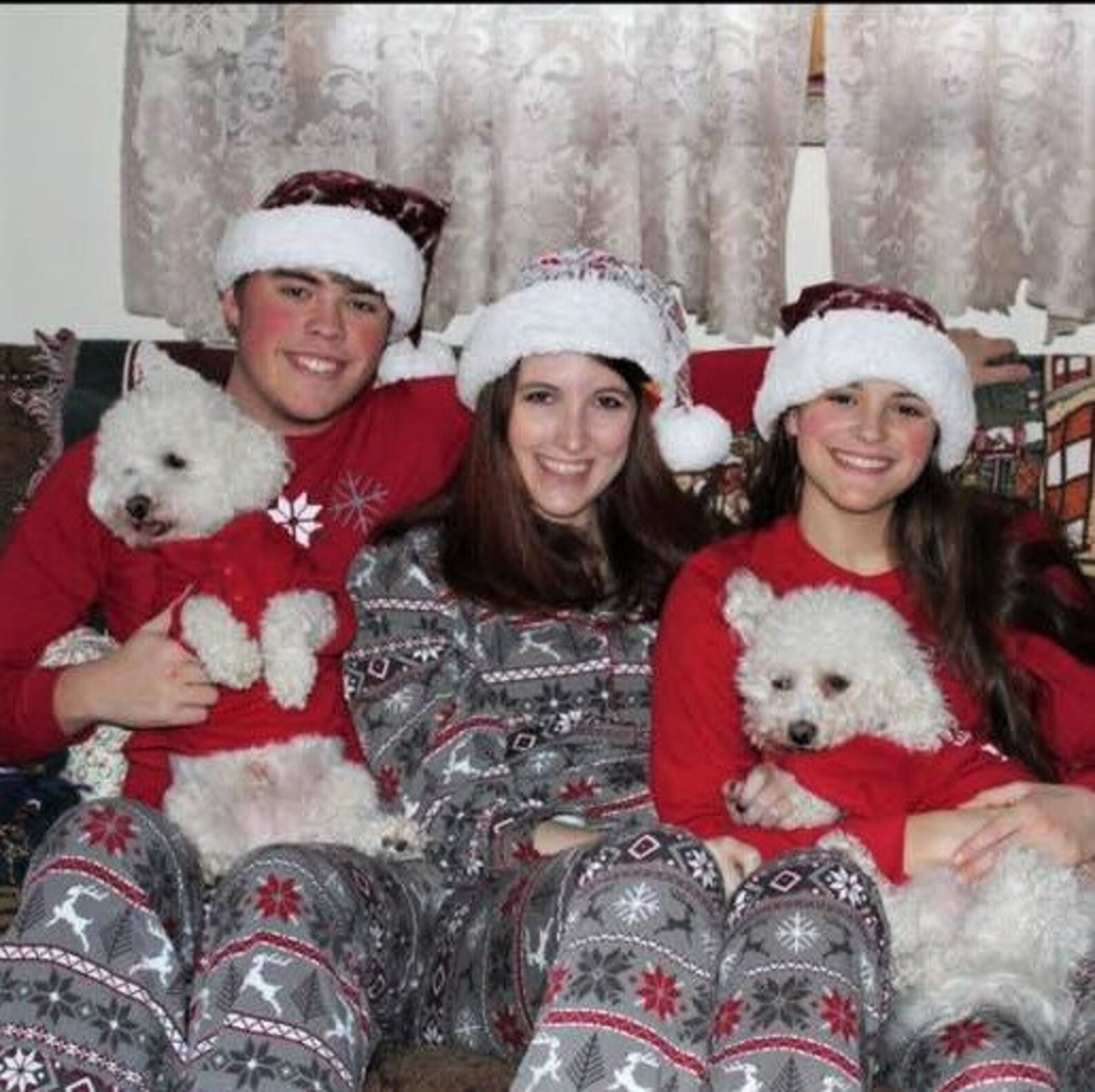 Santa Hat Navy Blue With White Paw Prints Nittany Lion Penn - Etsy