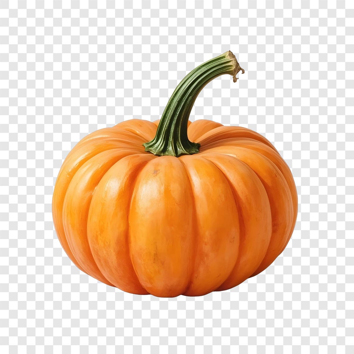 10 PNG Pumpkin Clipart, Autumn Harvest Images, Transparent Background ...