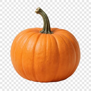 10 PNG Pumpkin Clipart, Autumn Harvest Images, Transparent Background ...