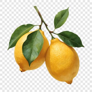 10 PNG Lemons Clipart, Lemon Branch Images, Transparent Background ...
