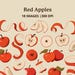 Hand-drawn Apple Clipart Bundle, Fruit PNG Graphics, Kitchen Decor ...