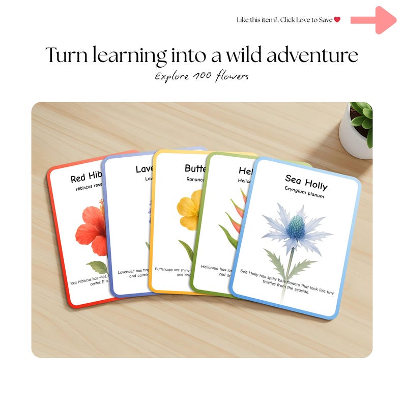Flower Flashcards for Kids: Learning Flowers and Nature (digital ...