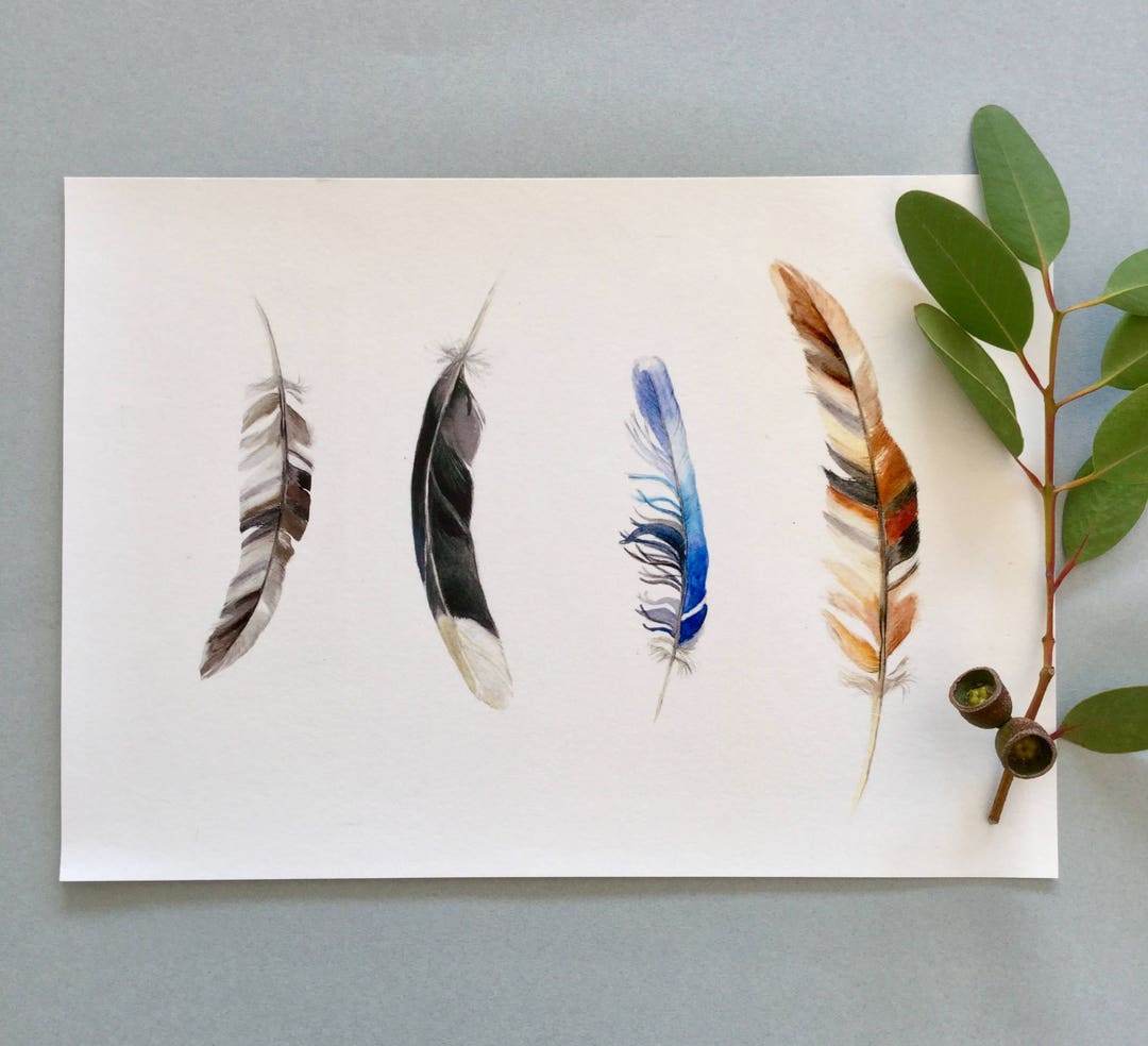 Feathers Print, Australian Bird Feathers - Etsy UK