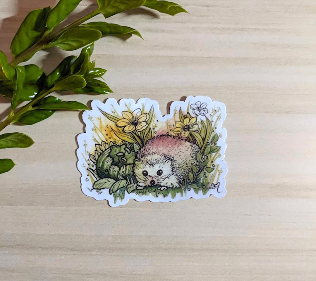 Hedgehog Sticker | Laminated Vinyl Die Cut Sticker | Cute Critter ...