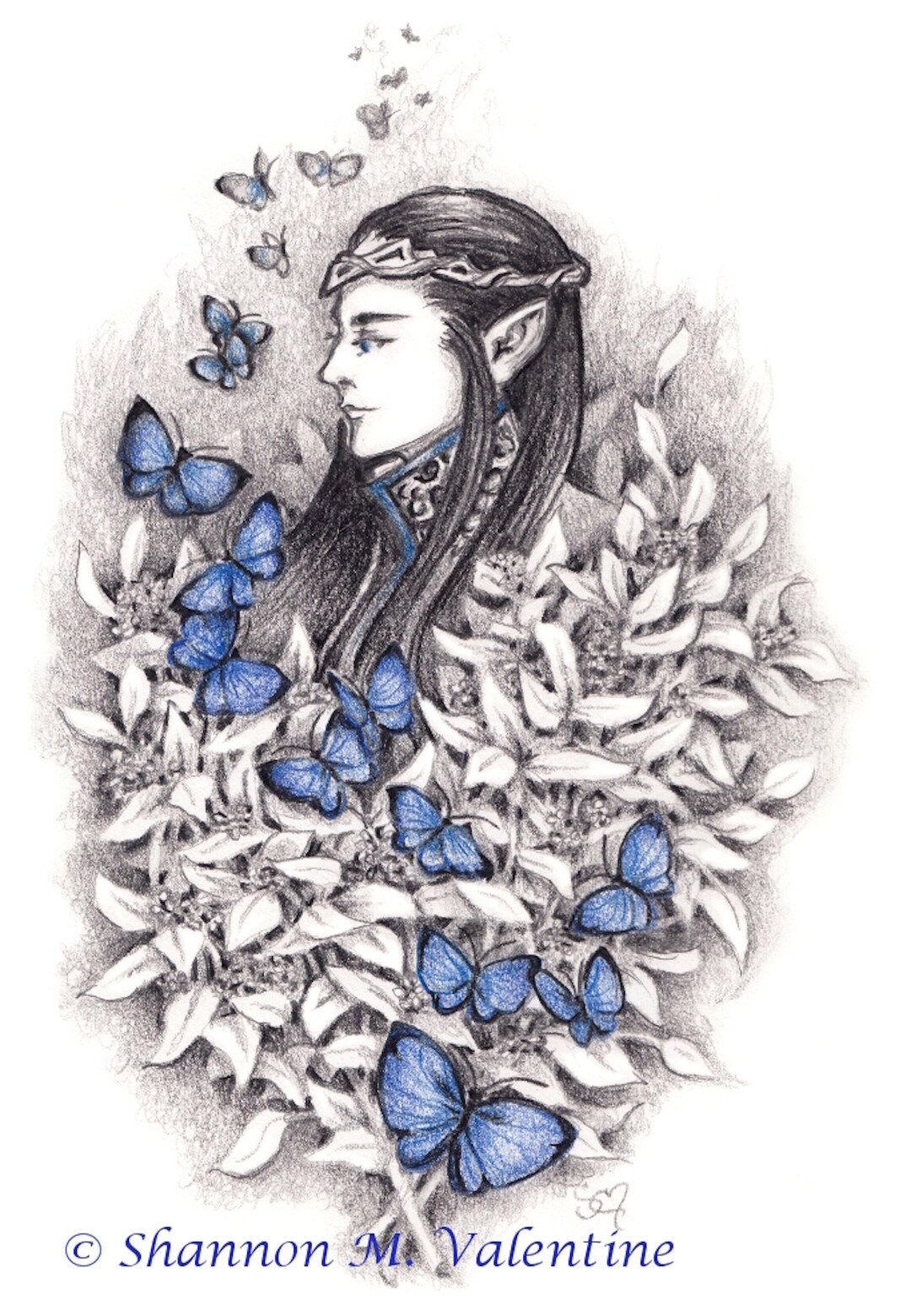 Elven Lord Art Print: Blue Morphos Butterfly Pencil Illustration (5x7 ...