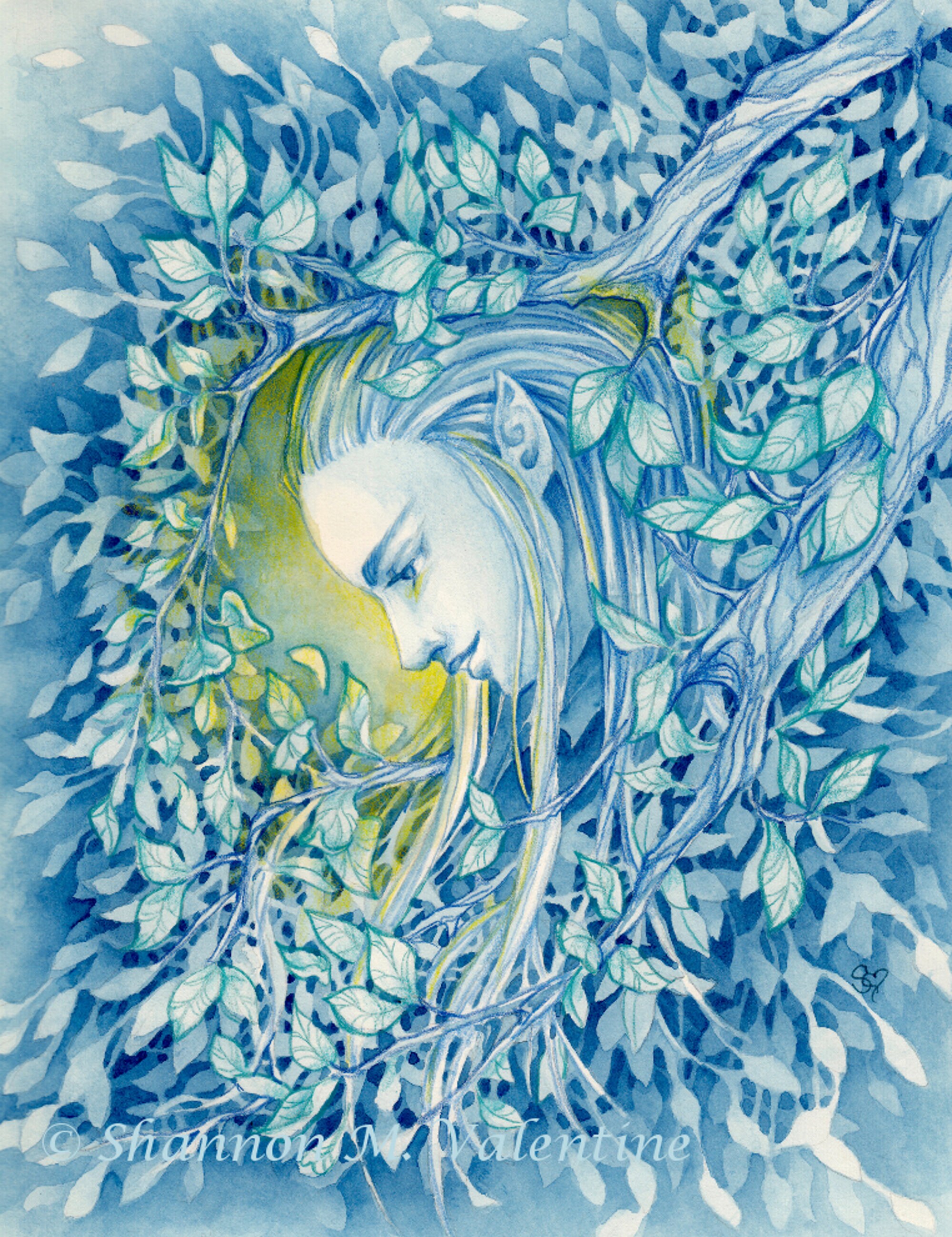Forest Elves Drawings