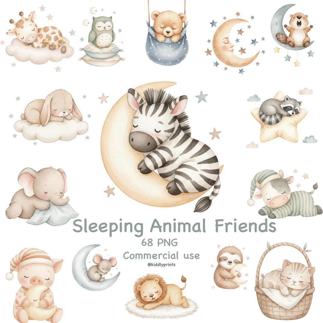 Cute Sleeping Baby Animals PNG, Sleepy Baby Animals Illustrations ...