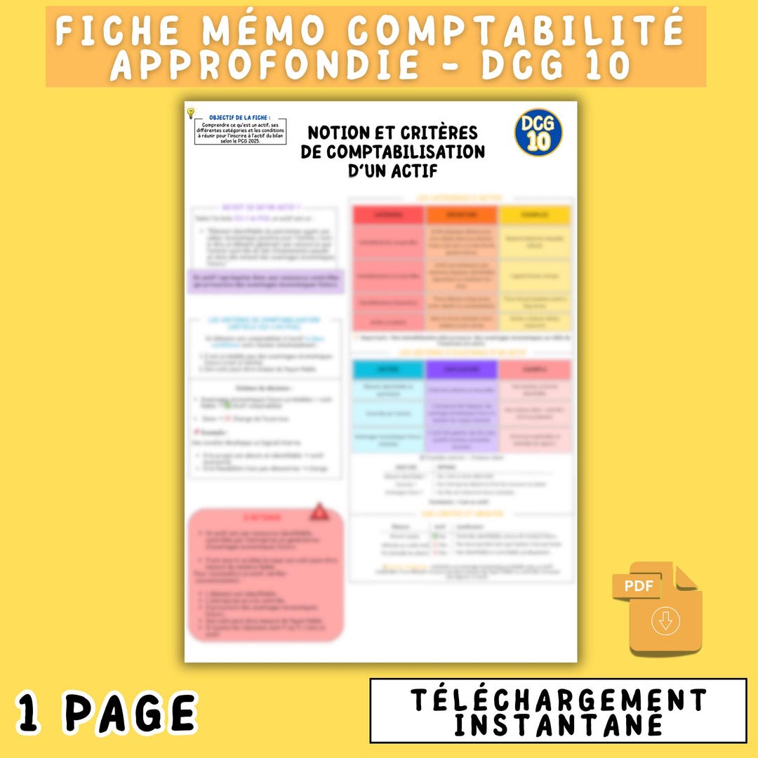 DCG UE 10 Fact Sheet – Concept and Criteria for Accounting for an Asset ...