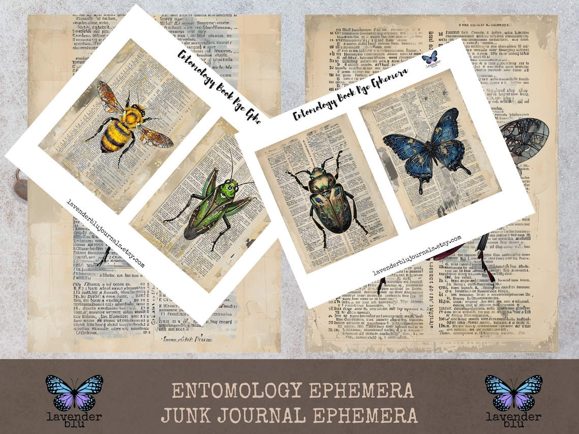 Junk Journal Entomology Ephemera, Journal Pages, Insects, Digital Kit ...