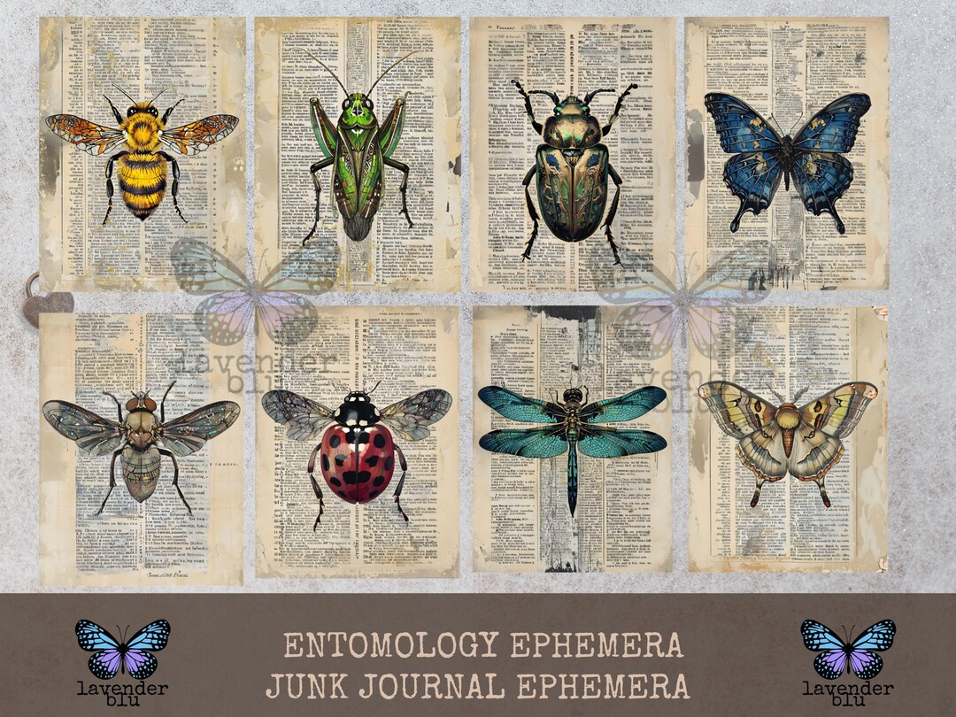 Junk Journal Entomology Ephemera, Journal Pages, Insects, Digital Kit ...