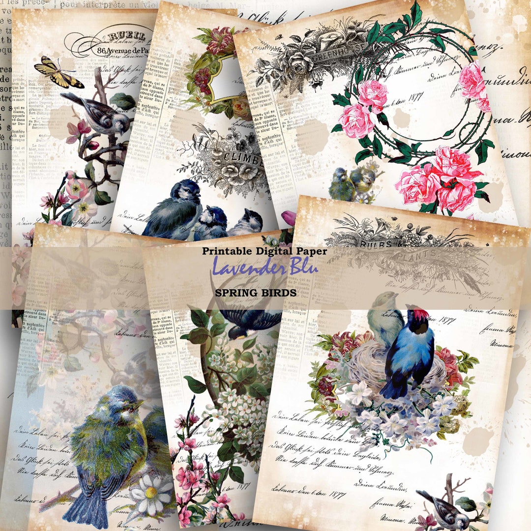 Printable Decorative Paper Spring Birds Digital Paper Vintage A4 Size ...
