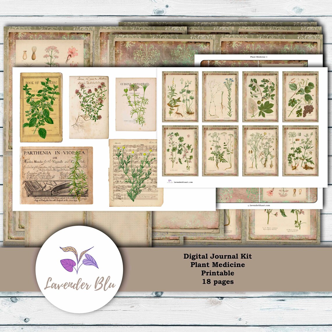 Plant Medicine Digital Junk Journal Kit | Printable Herbs Ephemera (PDF ...