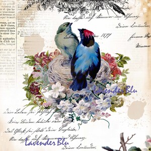 Printable Decorative Paper Spring Birds Digital Paper Vintage A4 Size ...