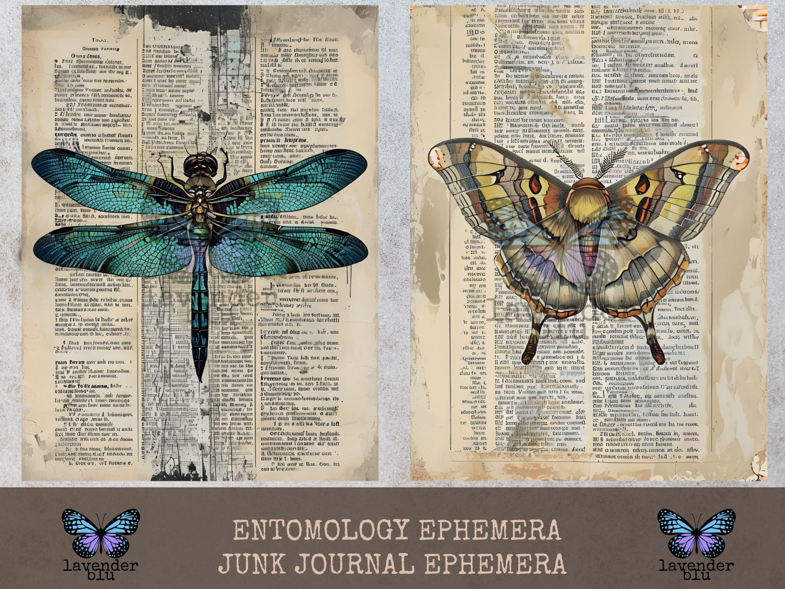 Junk Journal Entomology Ephemera, Journal Pages, Insects, Digital Kit ...