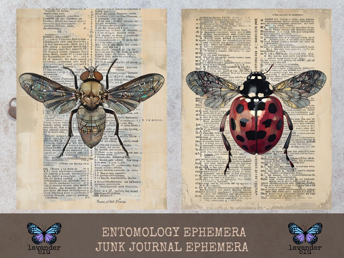 Junk Journal Entomology Ephemera, Journal Pages, Insects, Digital Kit ...