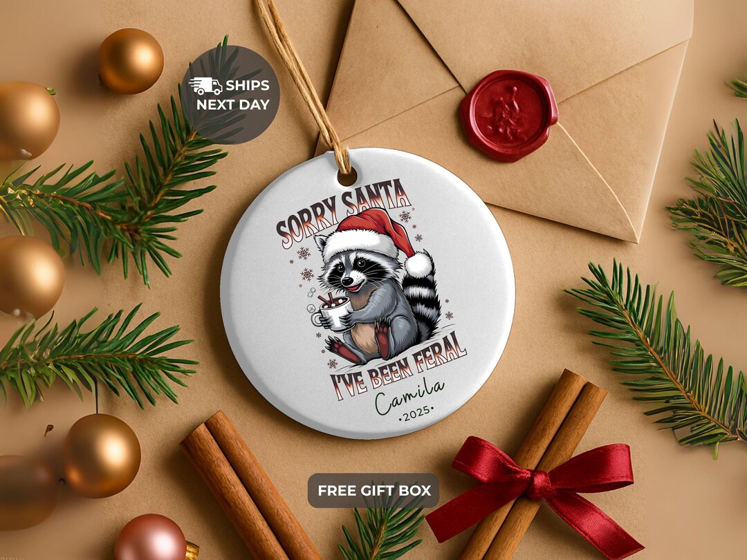 Personalized Santa Skunk Christmas Ornament: Ceramic Funny Ornament ...