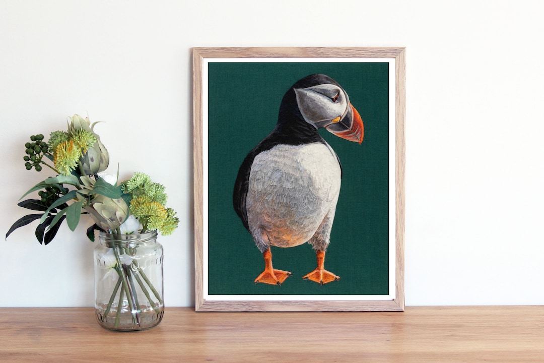 Icelandic Puffin Portrait Giclee Art PRINT, 8x10 or 11x14 - Etsy