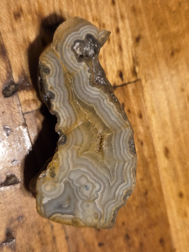 Cut and Hand Polished Crowley's Ridge Agate Half 1.4 Oz - Etsy