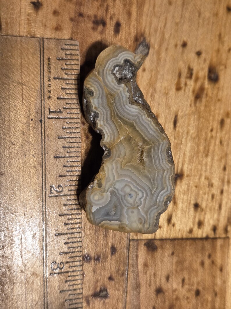 Cut and Hand Polished Crowley's Ridge Agate Half 1.4 Oz - Etsy