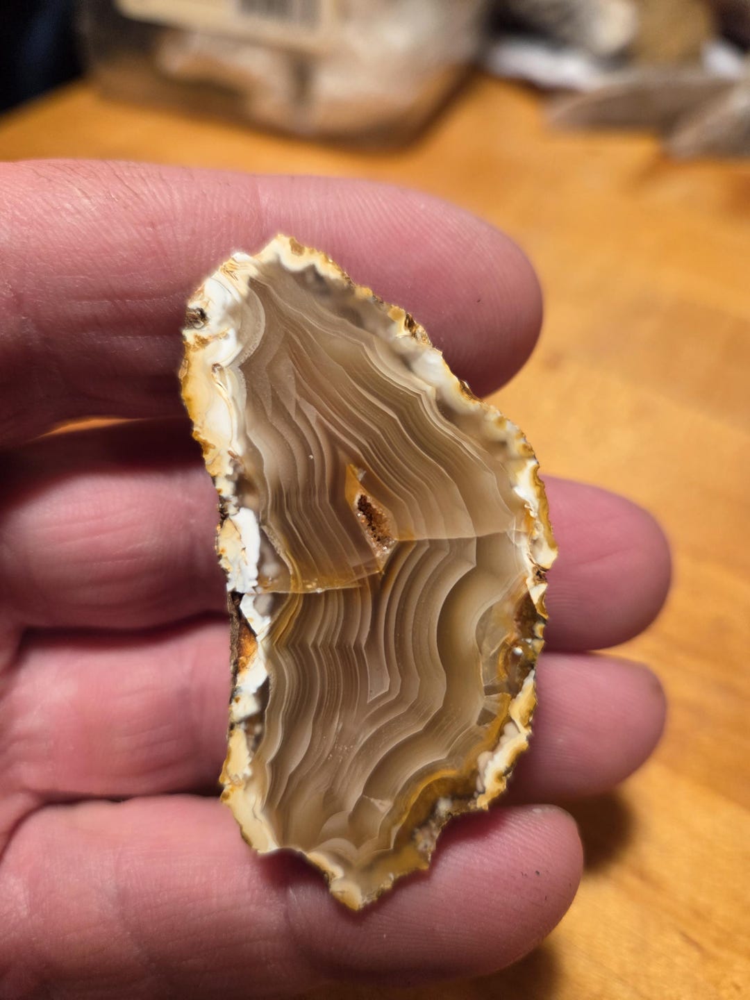 Calandria Agate Specimen Cut and Hand Polished Half Parallax Shadow ...