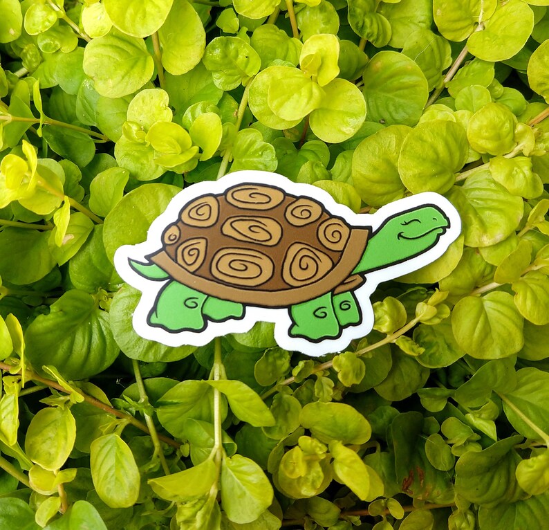 Turtle Sticker Sticker Turtle Turtle Gifts Brake for - Etsy