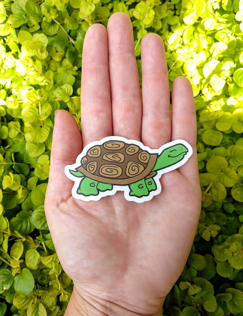 Turtle Sticker Sticker Turtle Turtle Gifts Brake for - Etsy