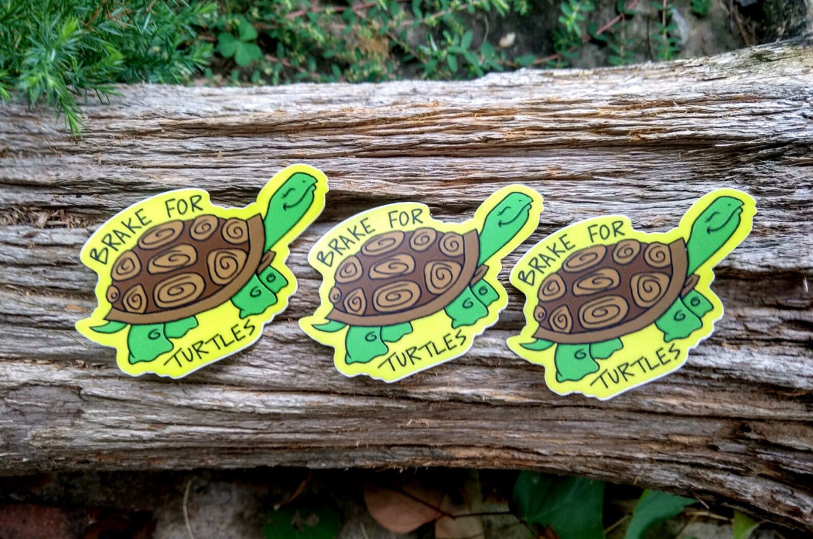 Turtle Sticker Sticker Turtle Turtle Gifts Brake for | Etsy