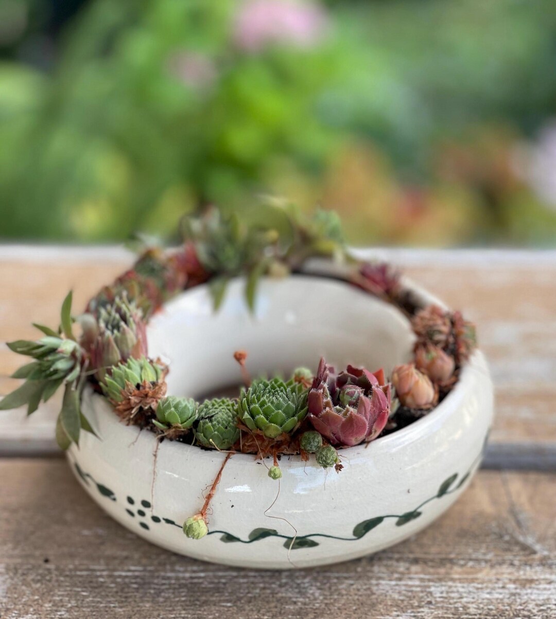 Round Flat Planter, Mid Century Succulent Planter - Etsy
