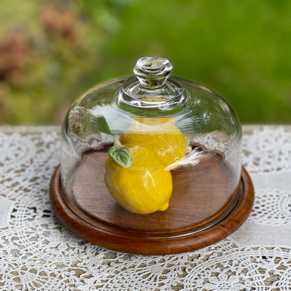 Cheese Cloche - Etsy